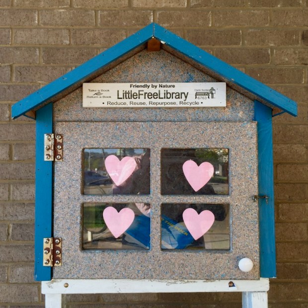 Reading is Lit! A Year with Little Free Libraries – Pittsburgh Orbit